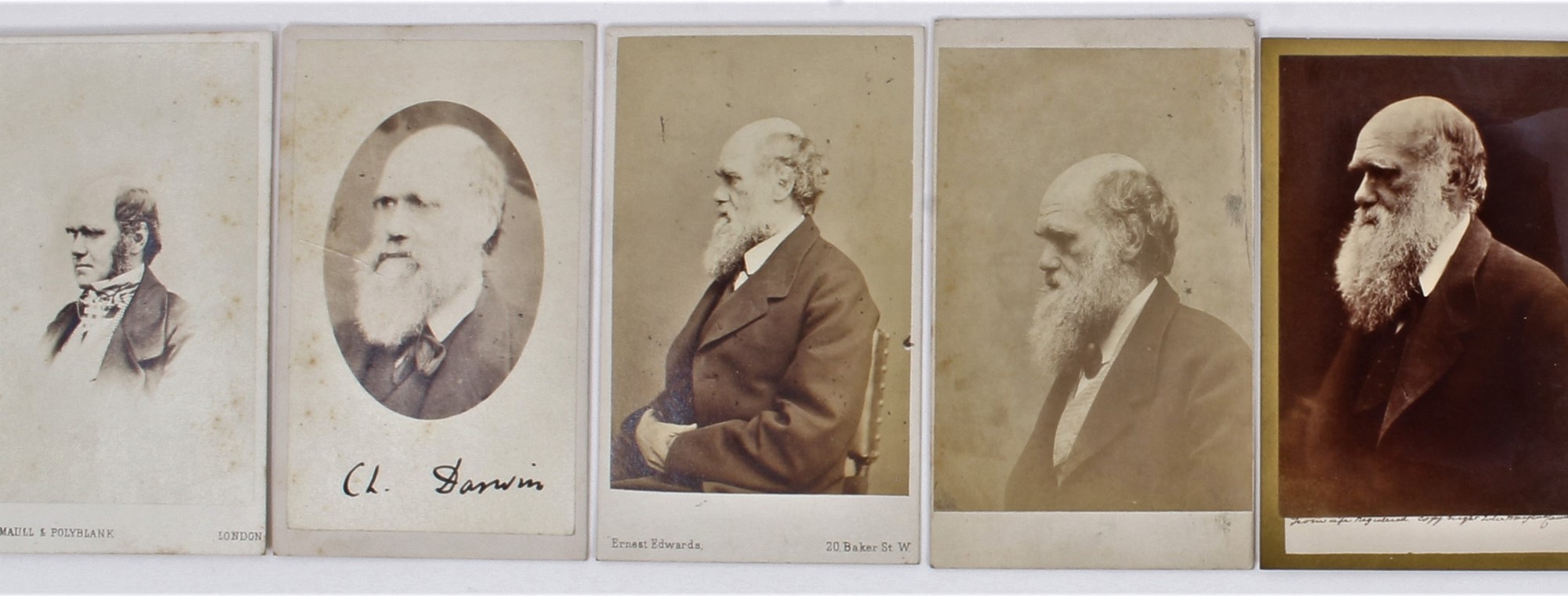 The Descent Of Man...