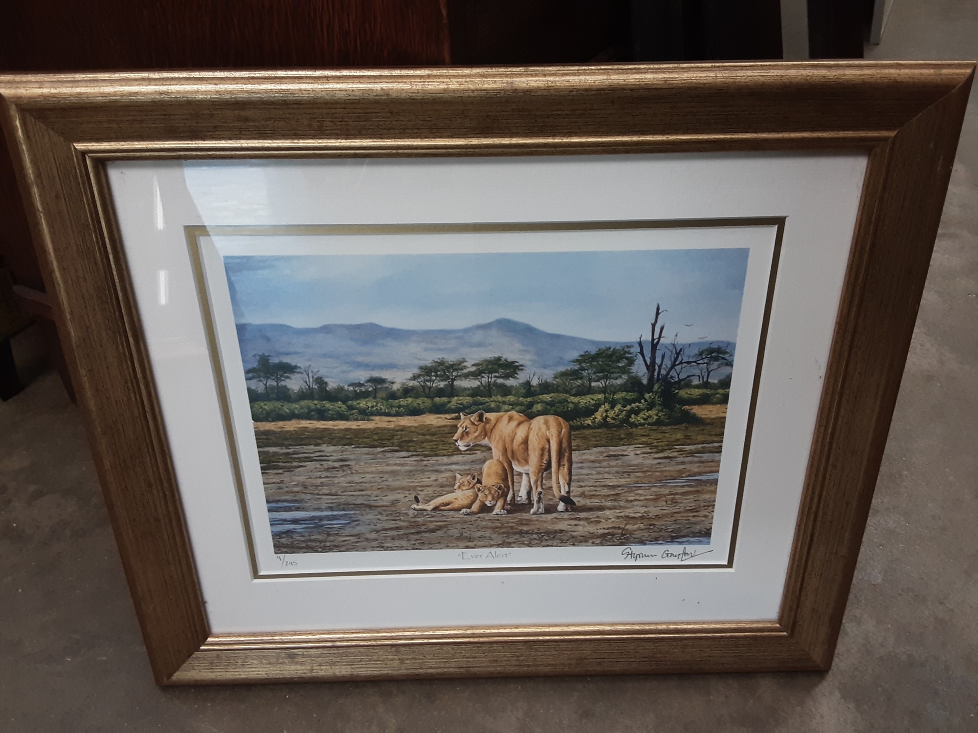 Lot 236 - Stephen Gayford - collection of eight signed