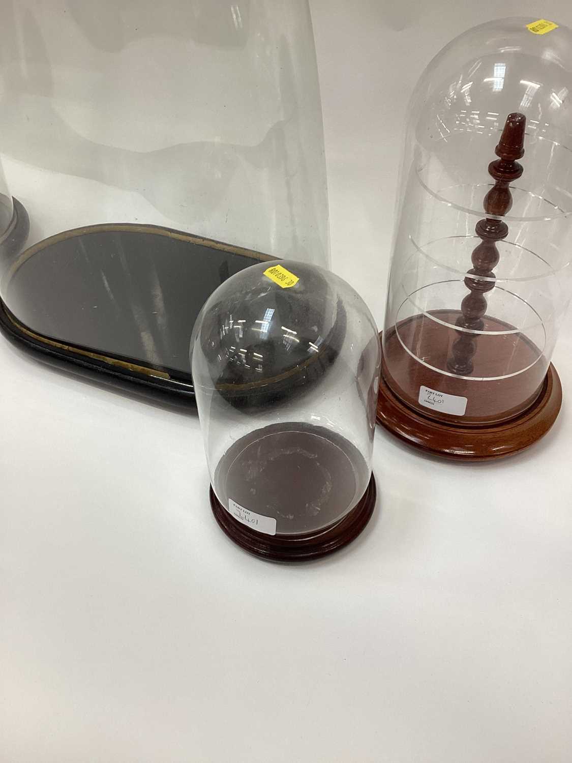 Lot 2401 Five Glass Domes Various