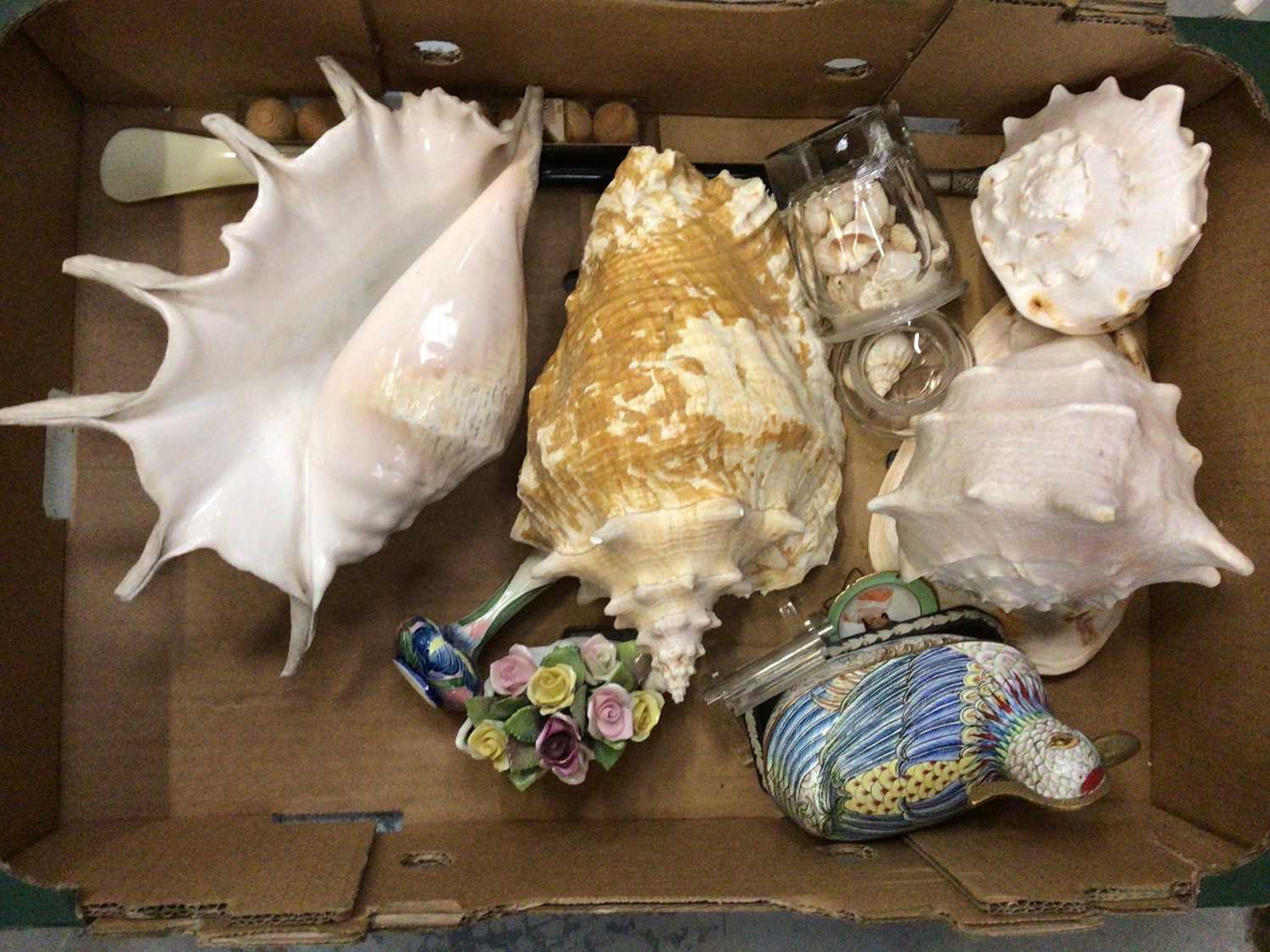 Lot 681 - Box of sea shells and sundries - NOT