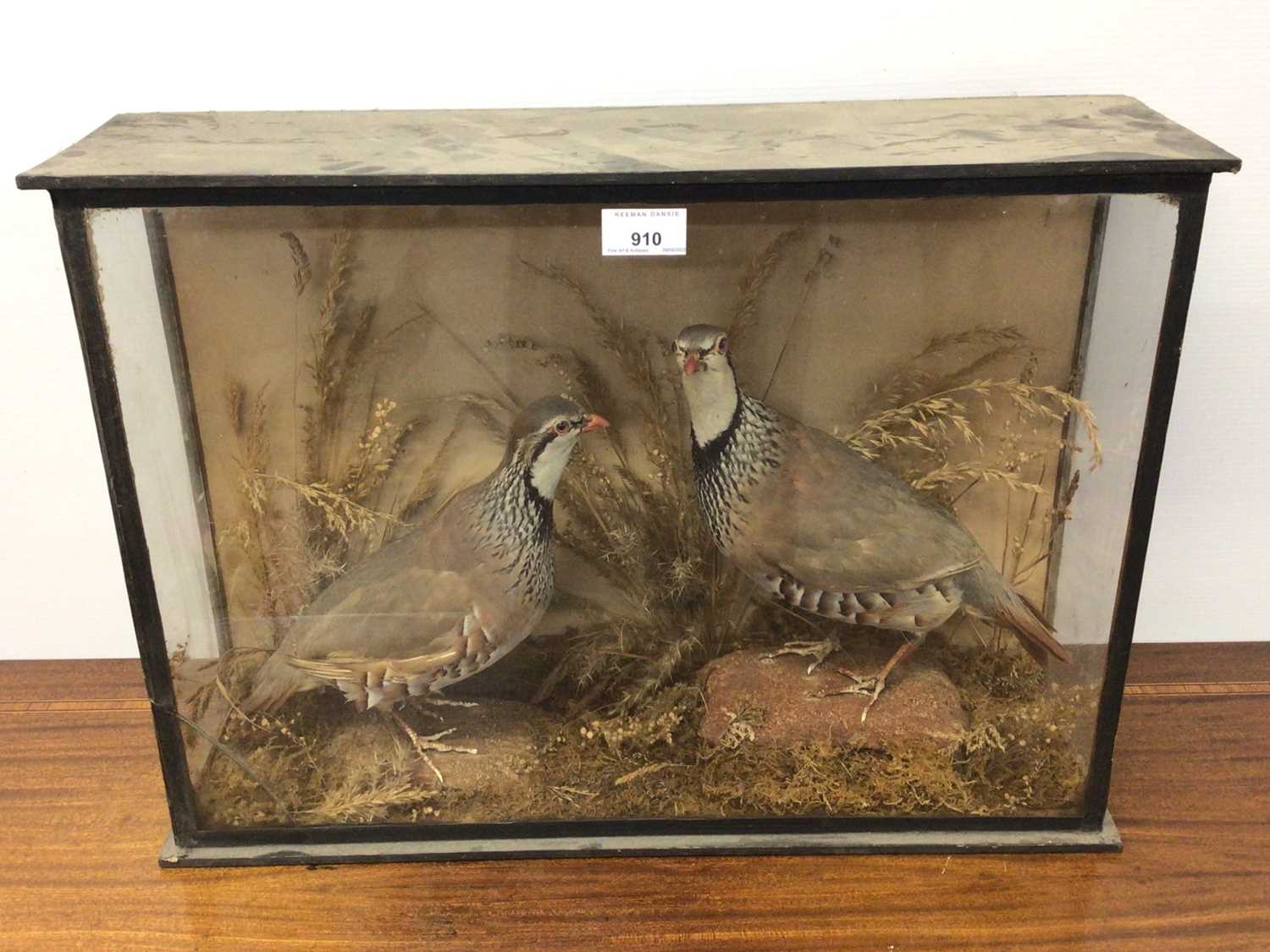 Lot 910 - Pair of Partridges within naturalistic
