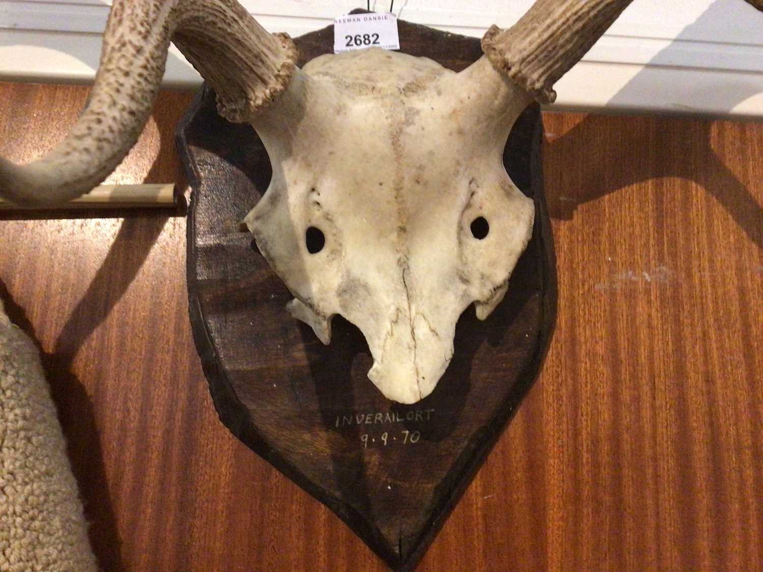 Lot 2682 - 11 point stag antlers trophy