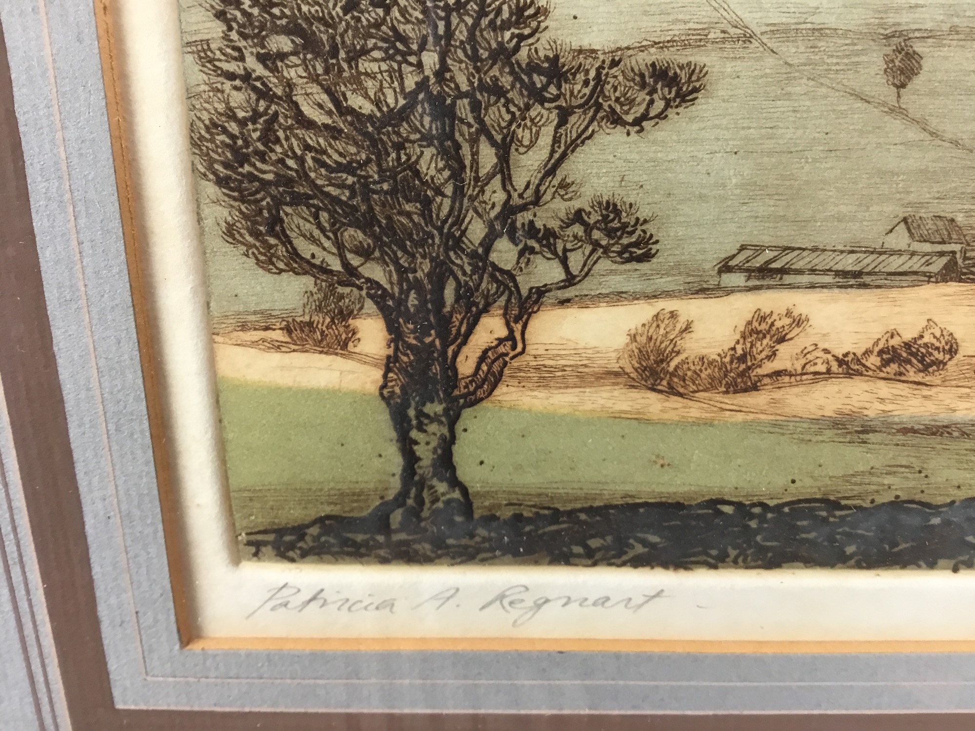 Lot 20 - Patricia A Regnart, 20th century. Coloured