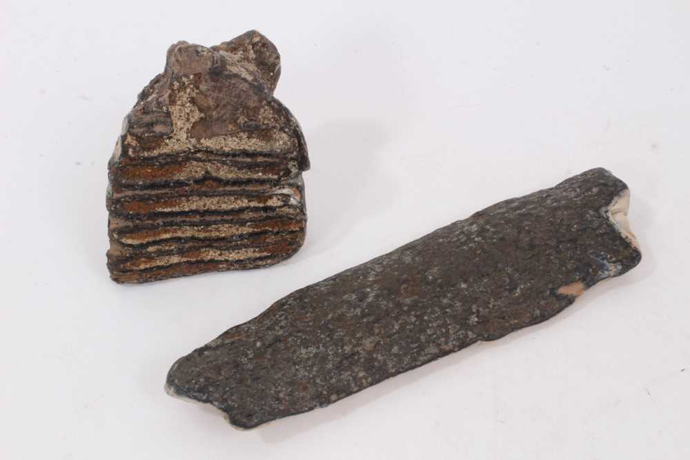 Lot 712 - A mammoth tooth and a section of mammoth
