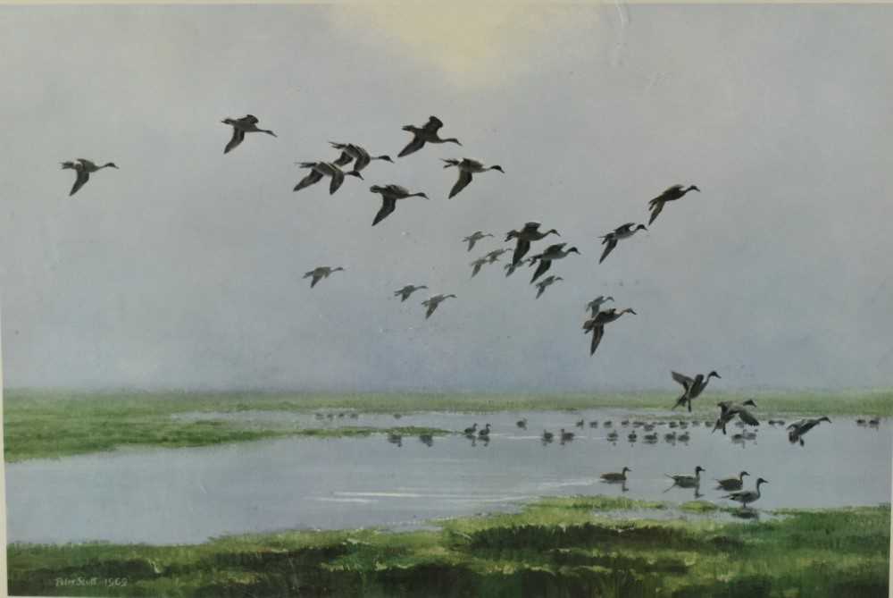 Lot 1034 - Sir Peter Scott (1909-1989) signed coloured