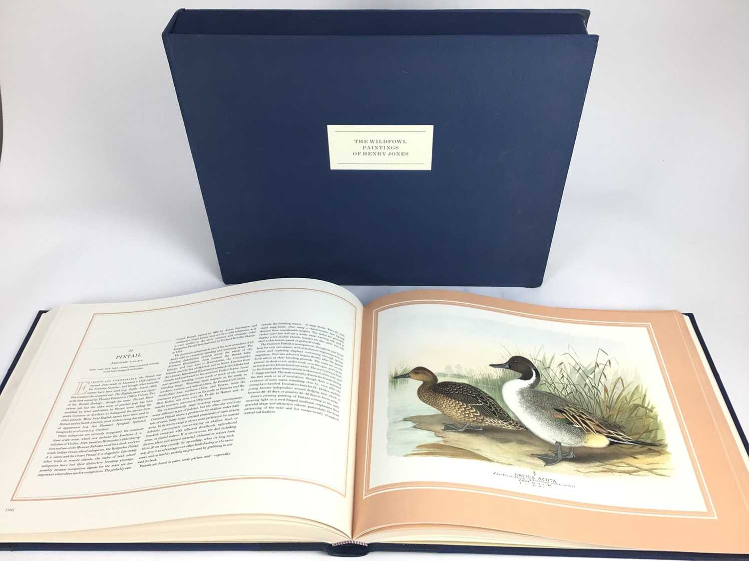 Lot 939 - The Wildfowl Paintings of Henry Jones, text