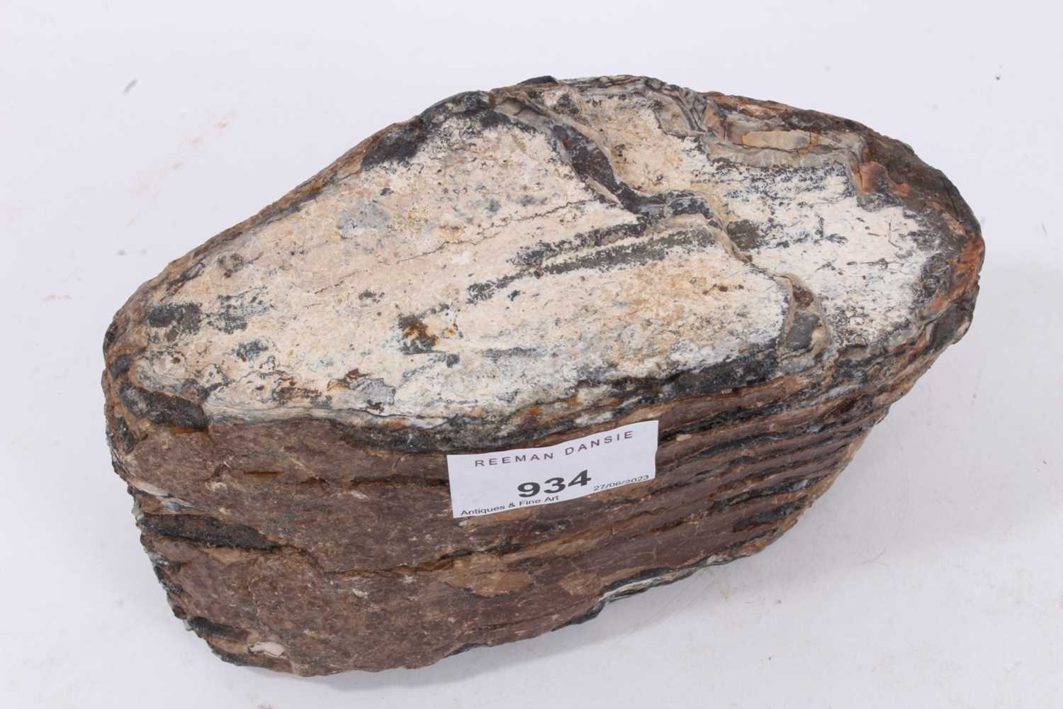 Lot 229 - Large mammoth tooth