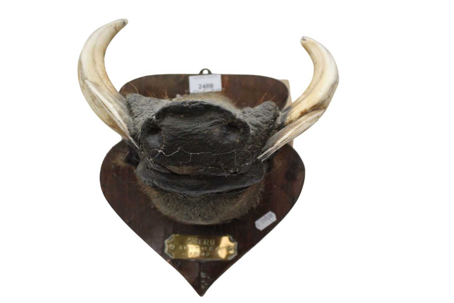 Lot 2469 - Four mid-20th century African hunting