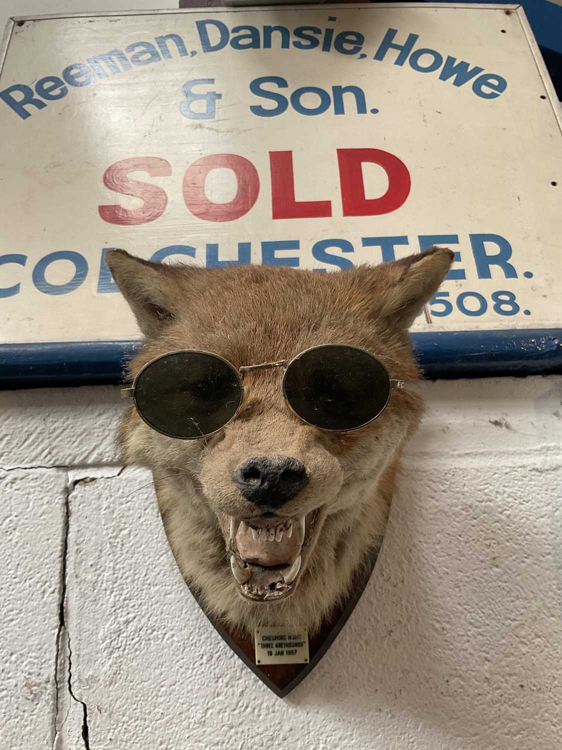 Lot 2574 - Taxidermy trophy Fox head