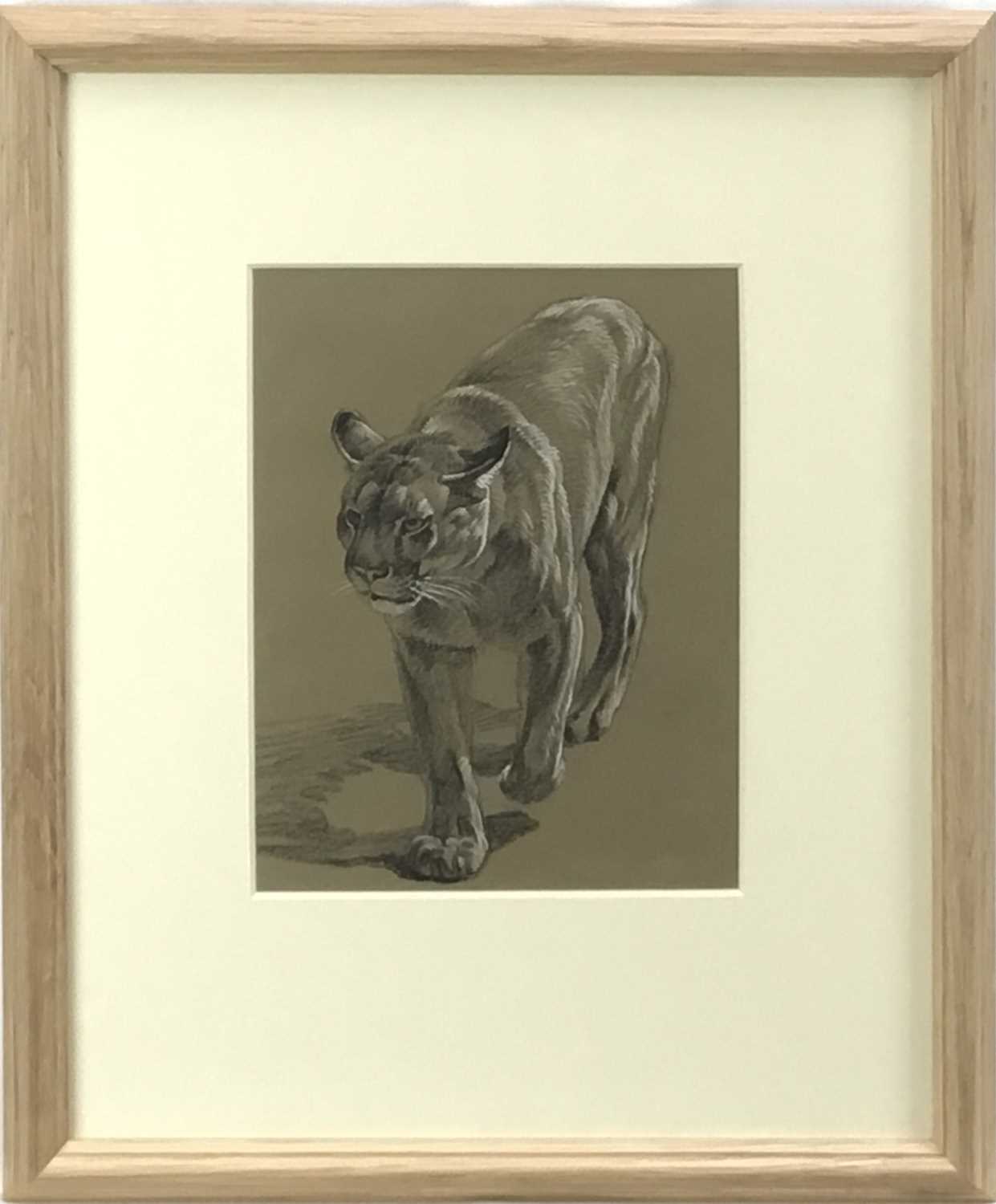 Lot 135 - Raymond Sheppherd (1913-1958) conte pencil