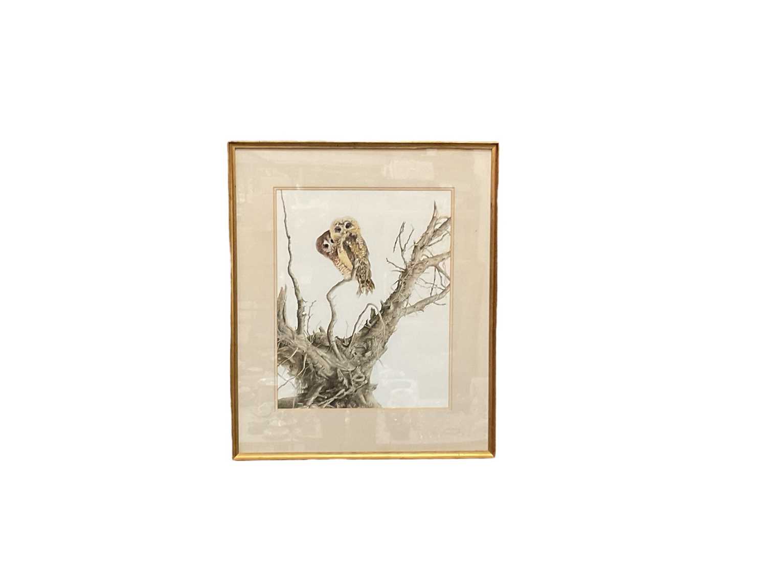 Lot 185 - Brian Reed (b. 1934) watercolour, two owls