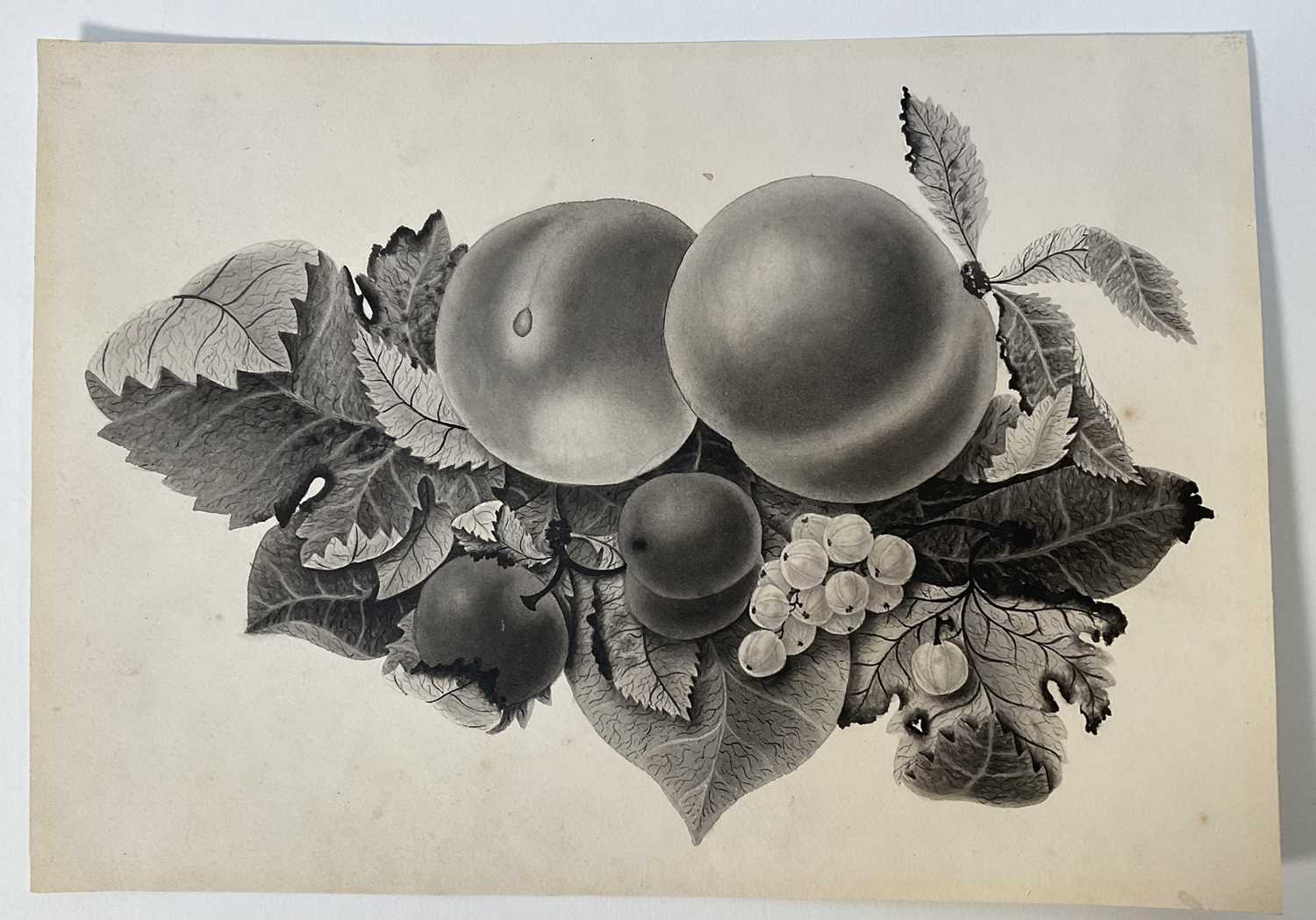 Lot 140 - Early 19th century monochrome study, still