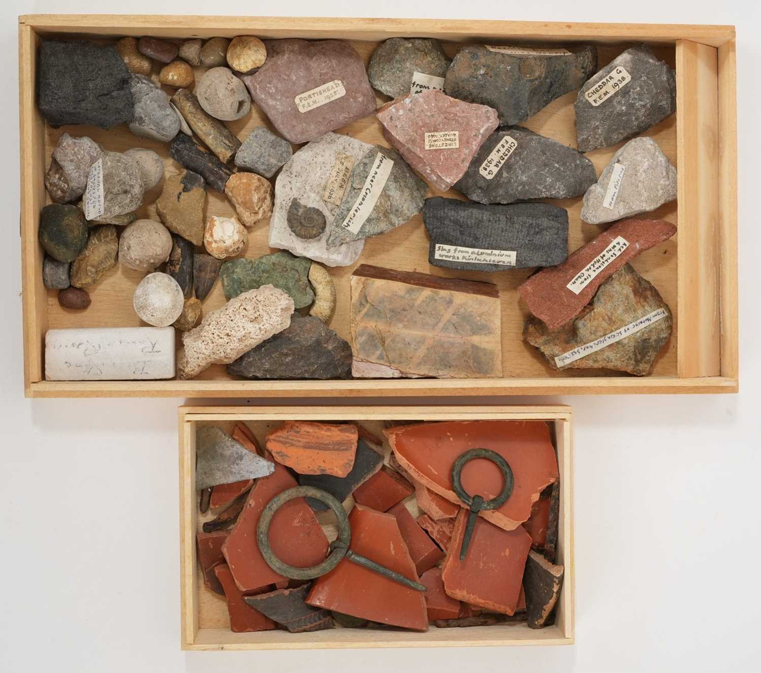 Lot 968 - Collection of fossils, geological specimens,