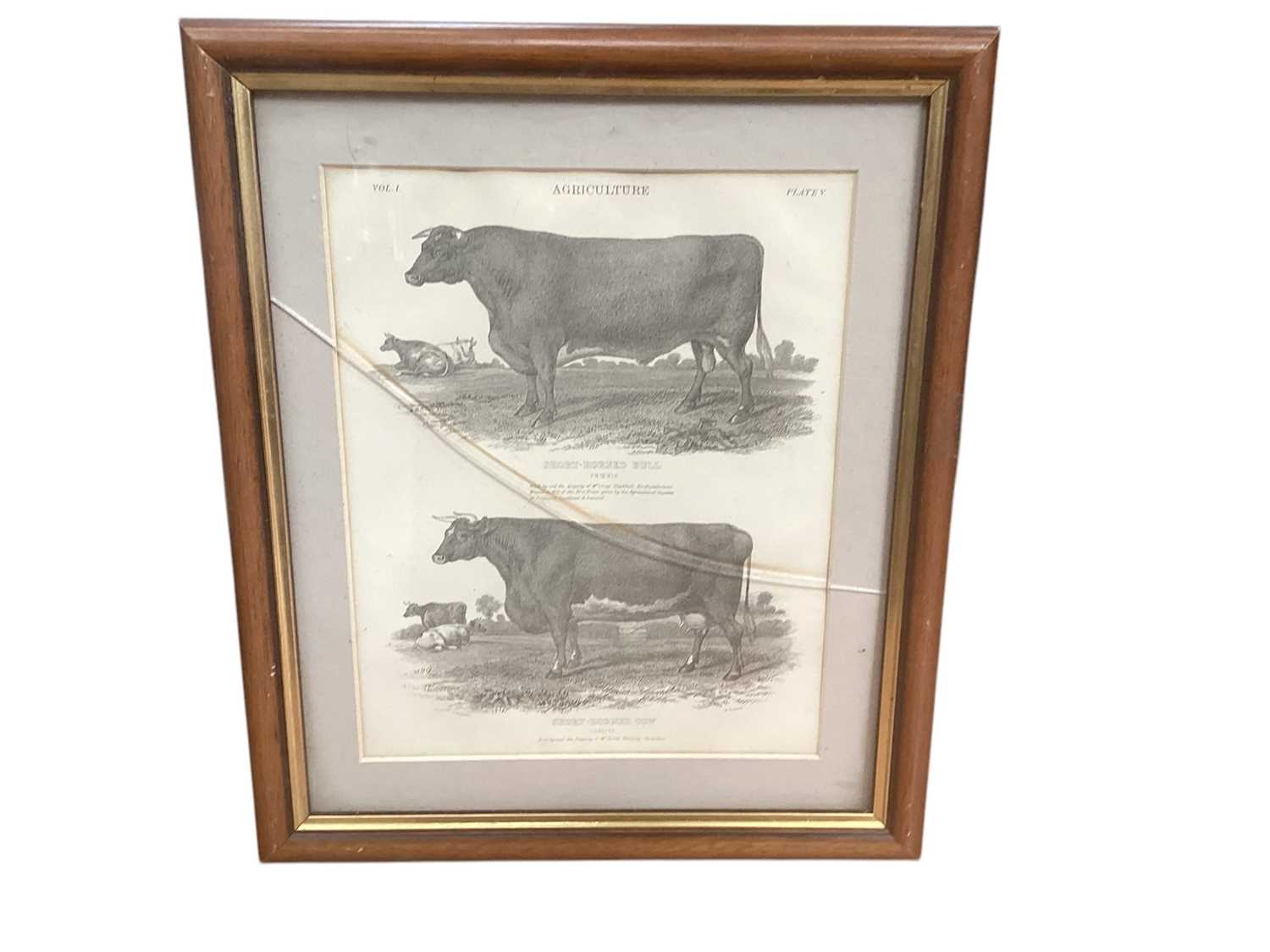 Lot 2462 - Five framed agricultural/farming prints