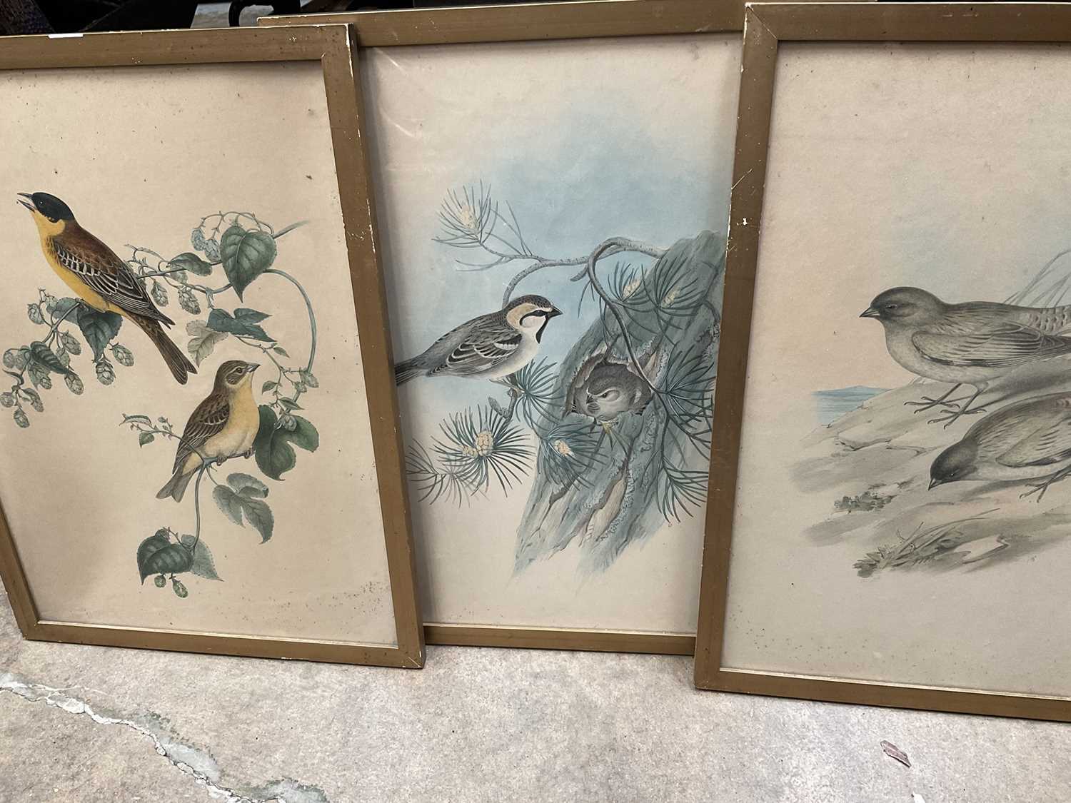 Lot 192 - Set of late 19th century colour lithographs