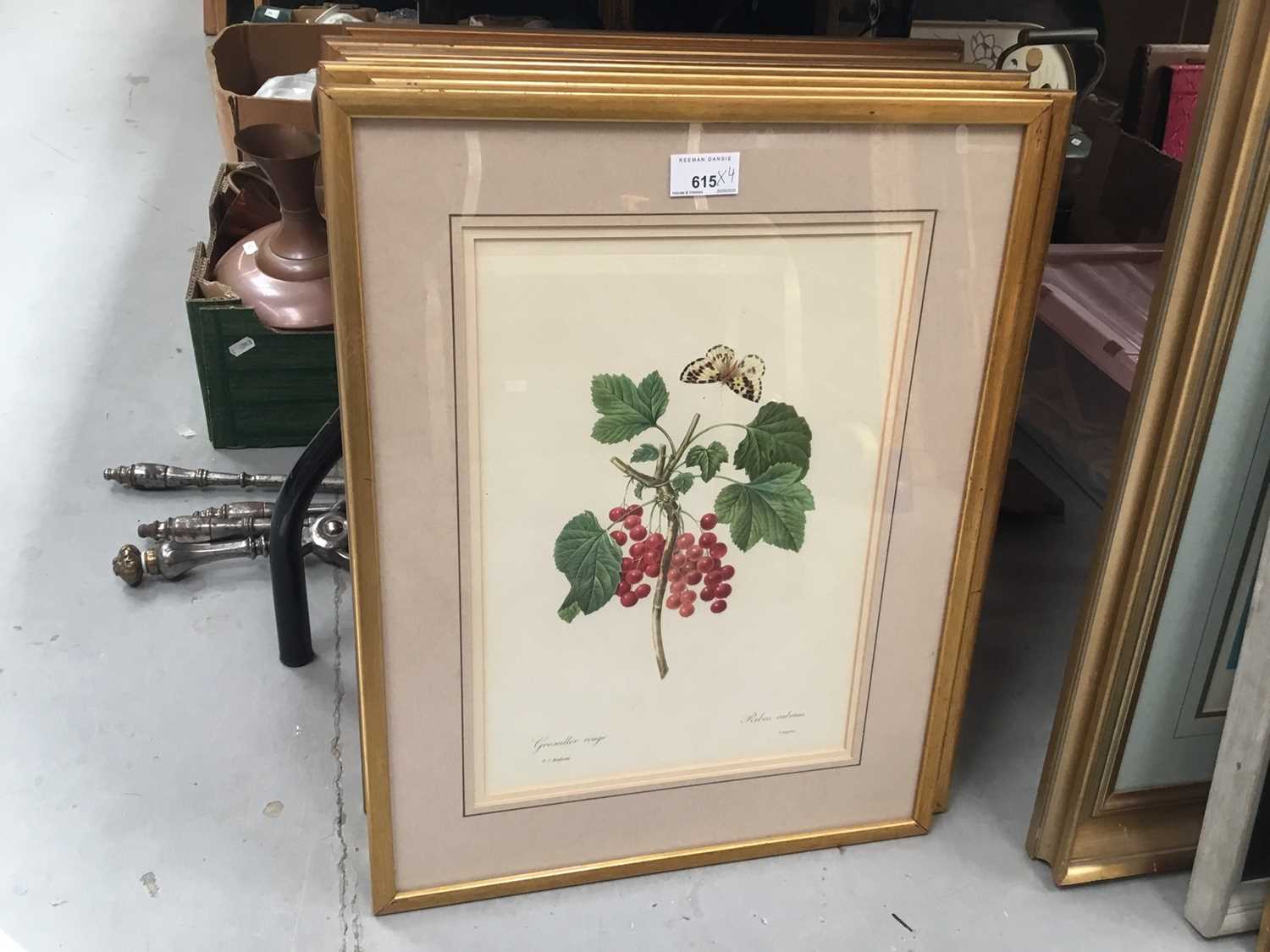 Lot 615 - Four Pierre-Joseph Redouté botanical prints,