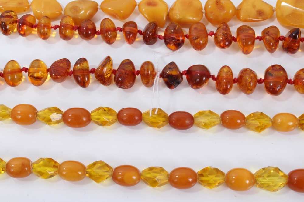 Lot 3425 - Amber and amber type bead necklaces