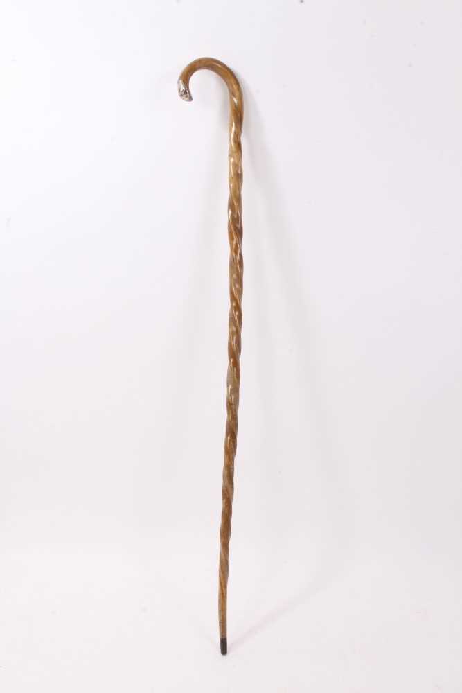 Lot 719 - Edwardian bull's pizzle walking stick,