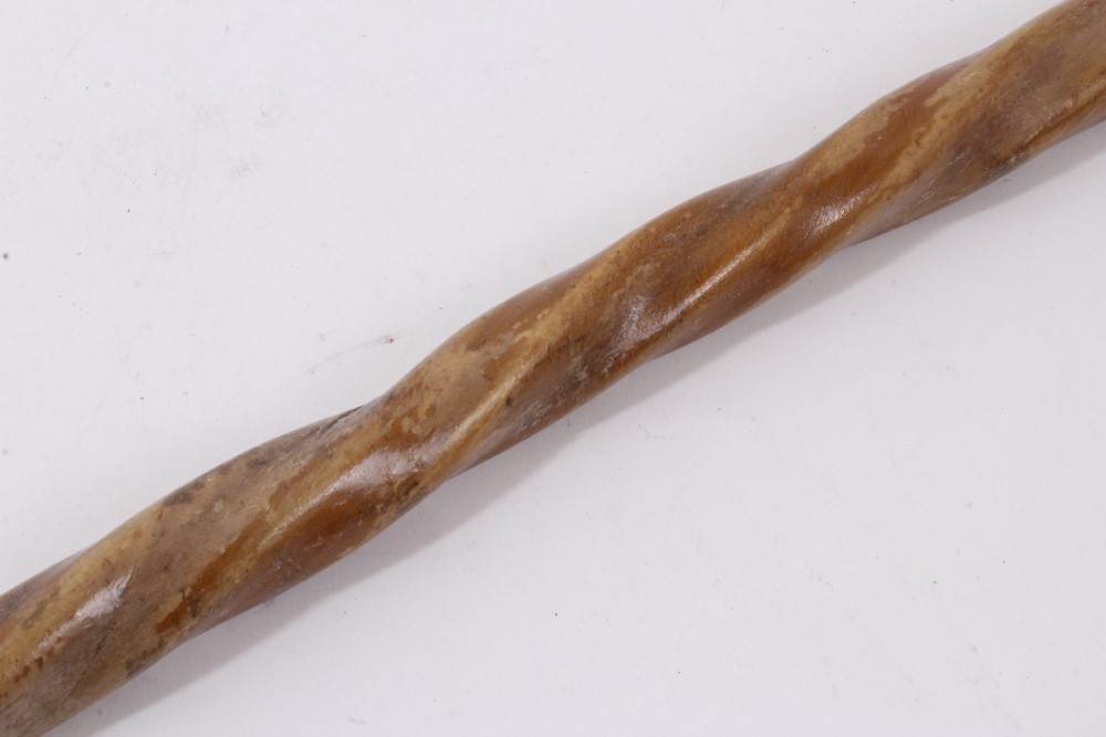 Lot 719 - Edwardian bull's pizzle walking stick,