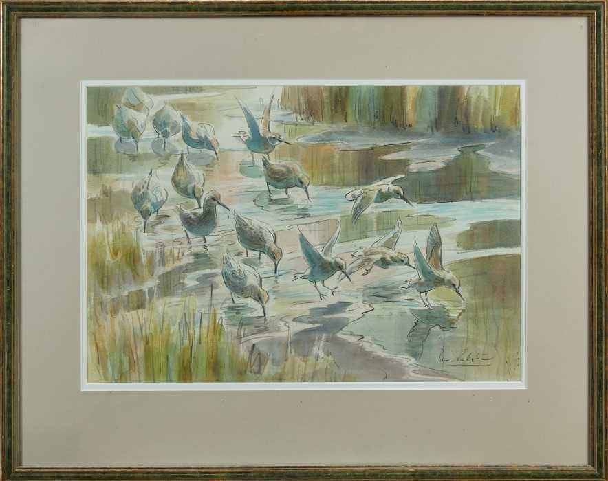 Lot 905 - Peter Partington, contemporary, pencil and