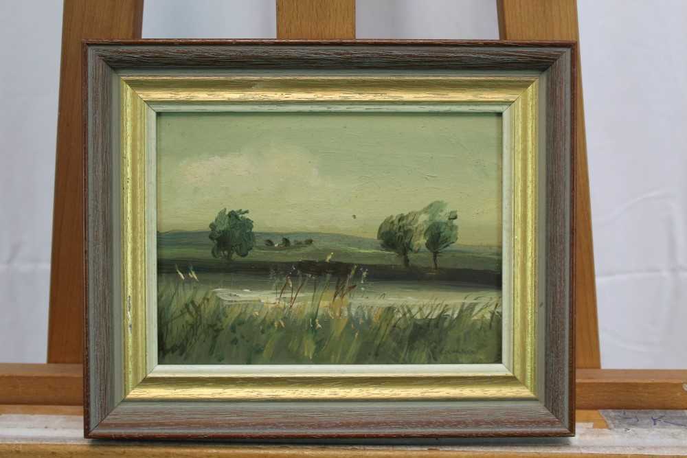 Lot 134 - Ronald Ronaldson oil on board - landscape