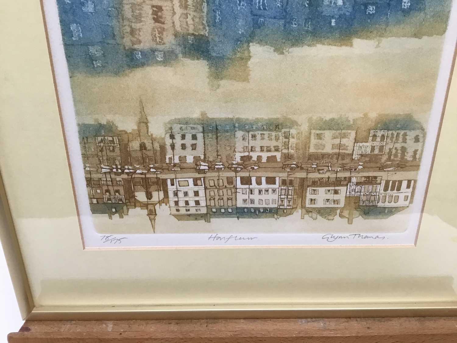 Lot 146 - Glynn Thomas limited edition coloured