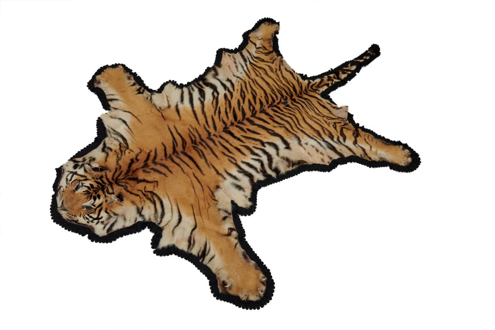 Lot 863 - Tiger skin rug