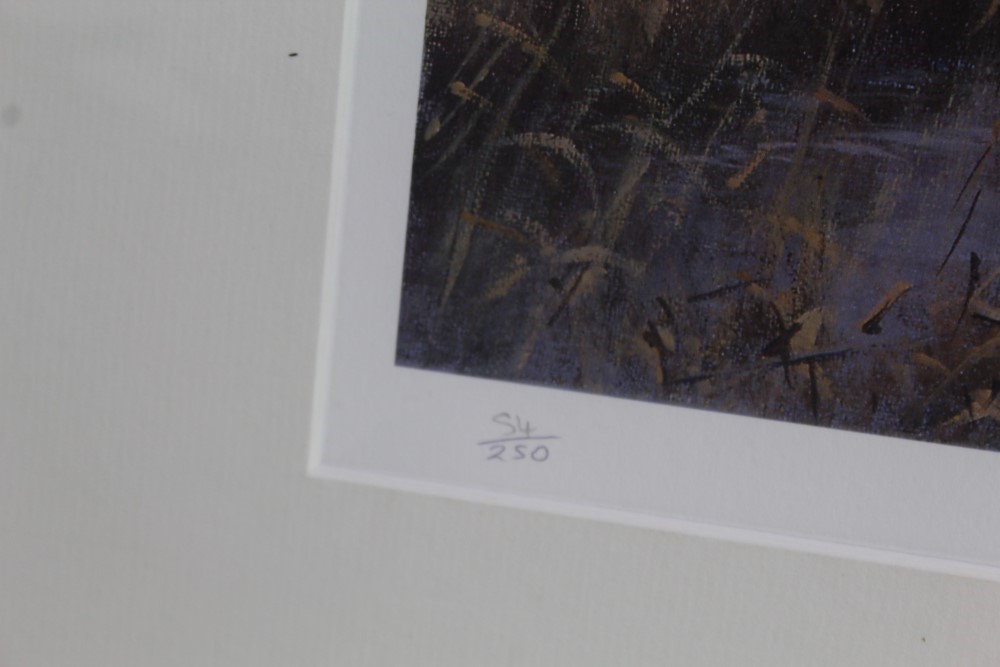 Lot 919 - Julian Novorol (b.1949) signed limited