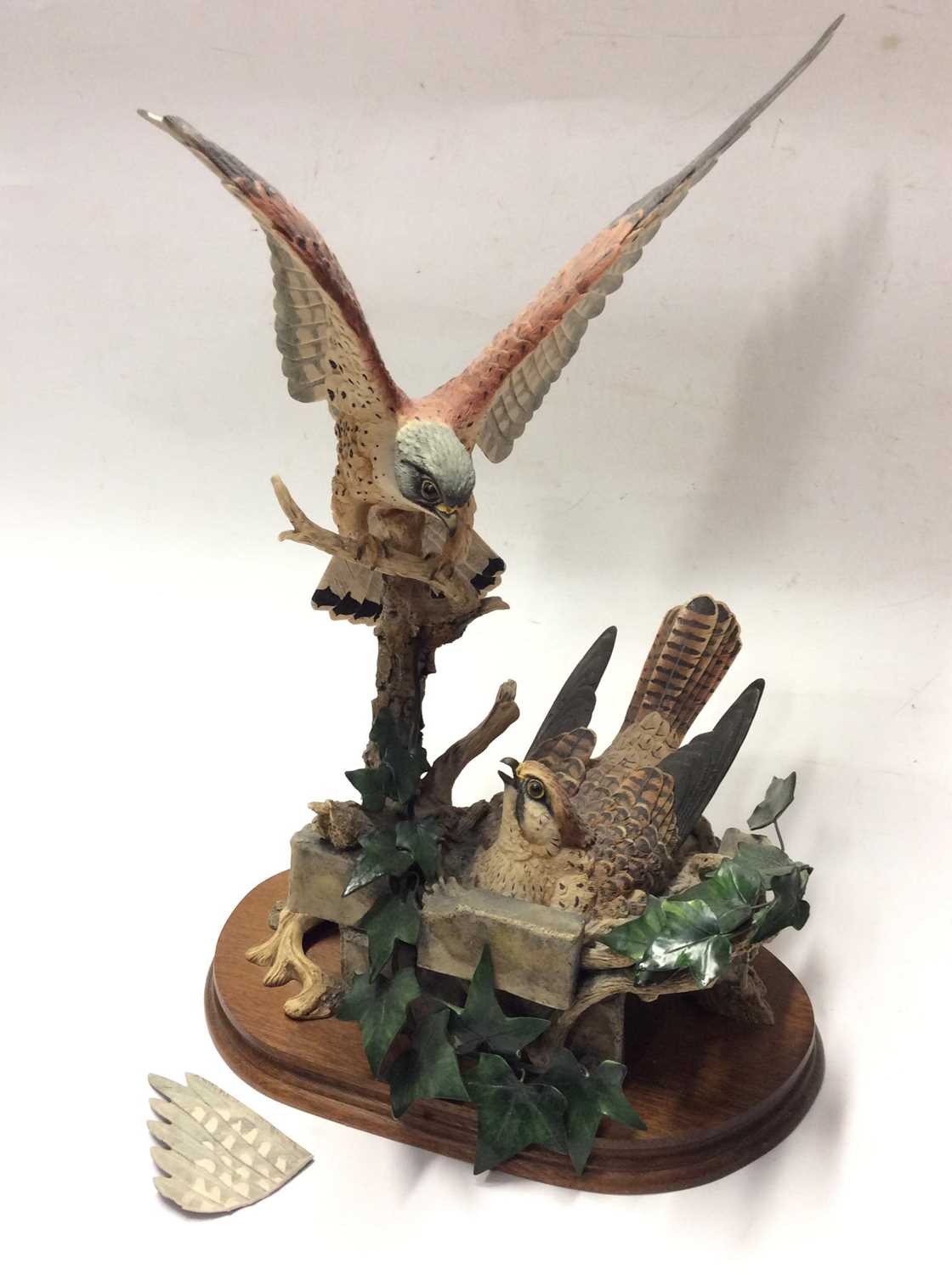 Lot 5 - Border Fine Arts limited edition model Eagle,