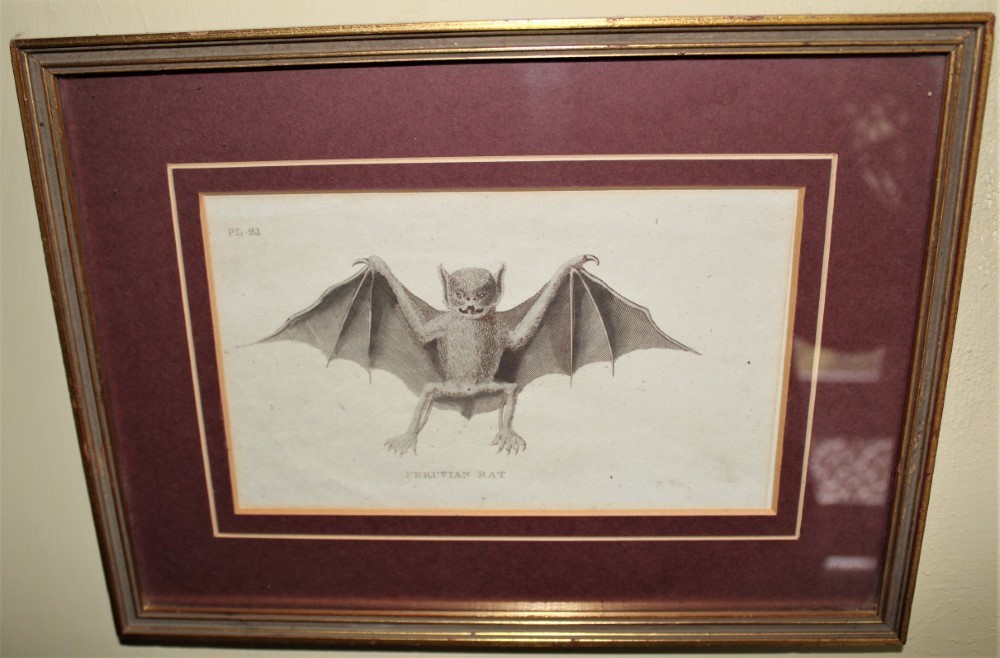 Lot 1685 - Pair of 19th century hand coloured