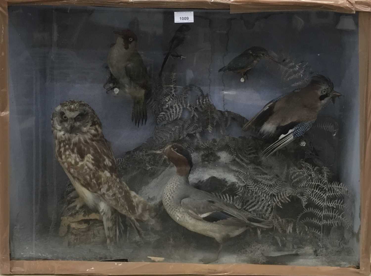 Lot 1009 - Display of six birds within naturalistic