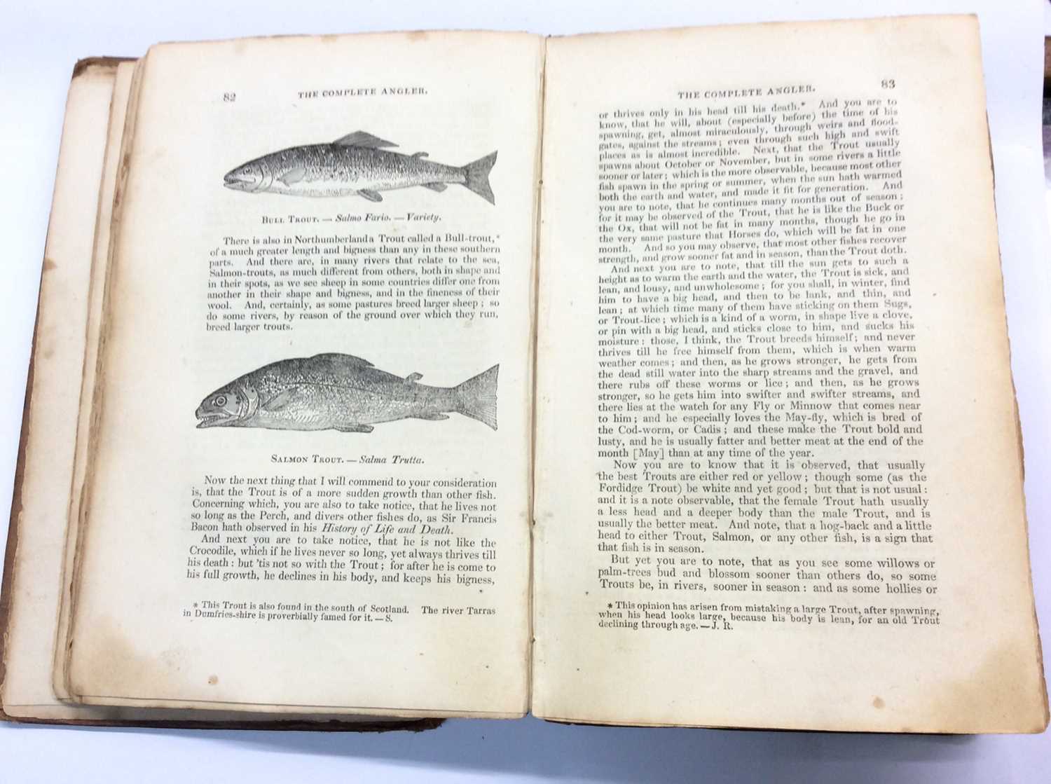 Lot 118 - The Complete Angler by Isaac Walton and